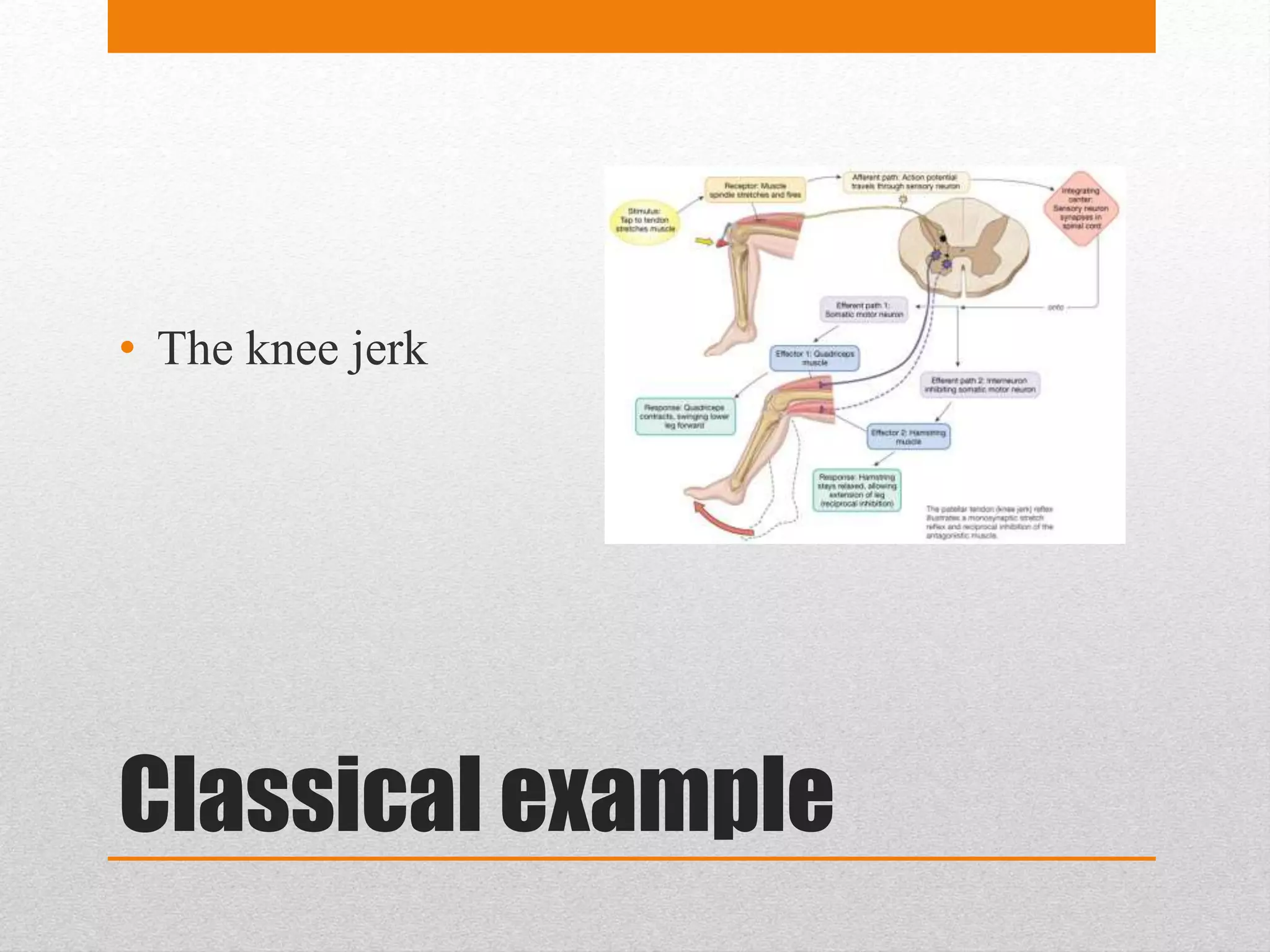 Facilitation in neuro rehabilitation | PPTX
