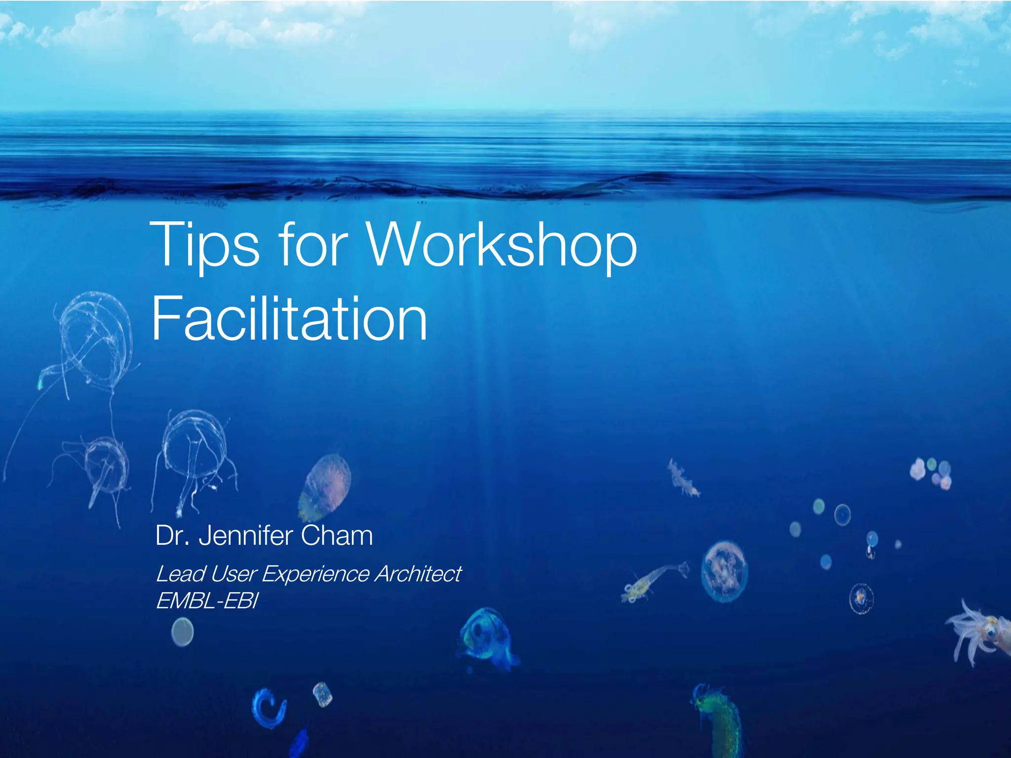 Tips for Workshop Facilitation | PDF | Technology & Computing