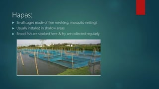 Facilities of an ideal aquaculture farm | PPTX