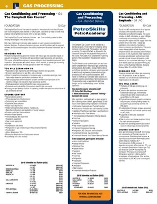 2018 PetroSkills Facilities Training Guide | PDF