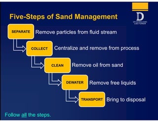 Facilities Sand Management Rawlins eProcess | PDF