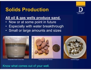 Facilities Sand Management Rawlins eProcess | PDF