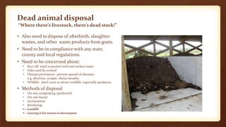 Facilities for Small-Scale Goat Farms | PPTX