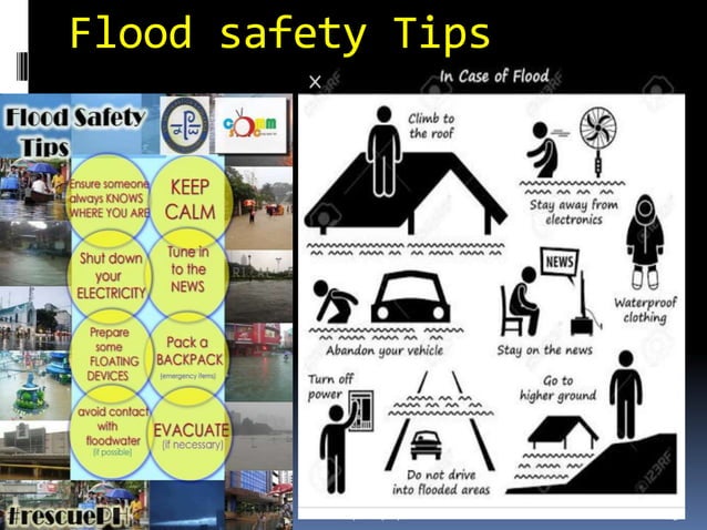 Facing a Disaster & Safety Measures Tips | PPTX | Geography | Science