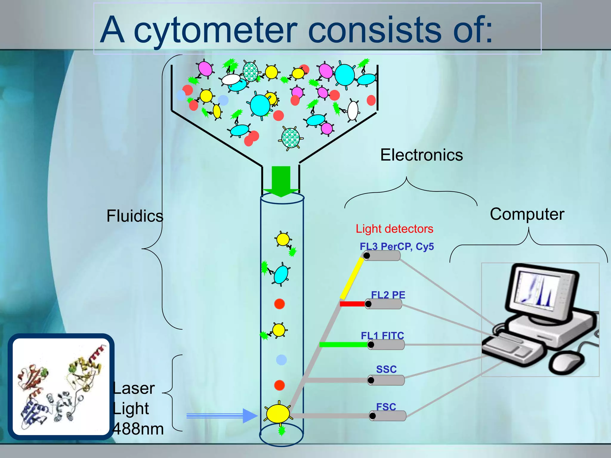 Fluorescence- Activated Cell Sorter (FACS) | PPTX