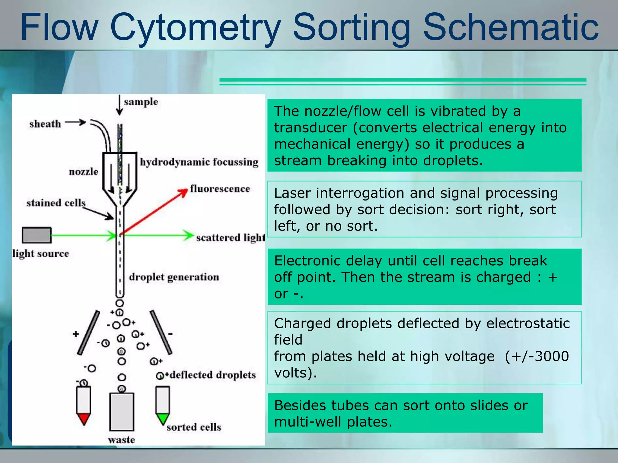 Fluorescence- Activated Cell Sorter (FACS) | PPTX