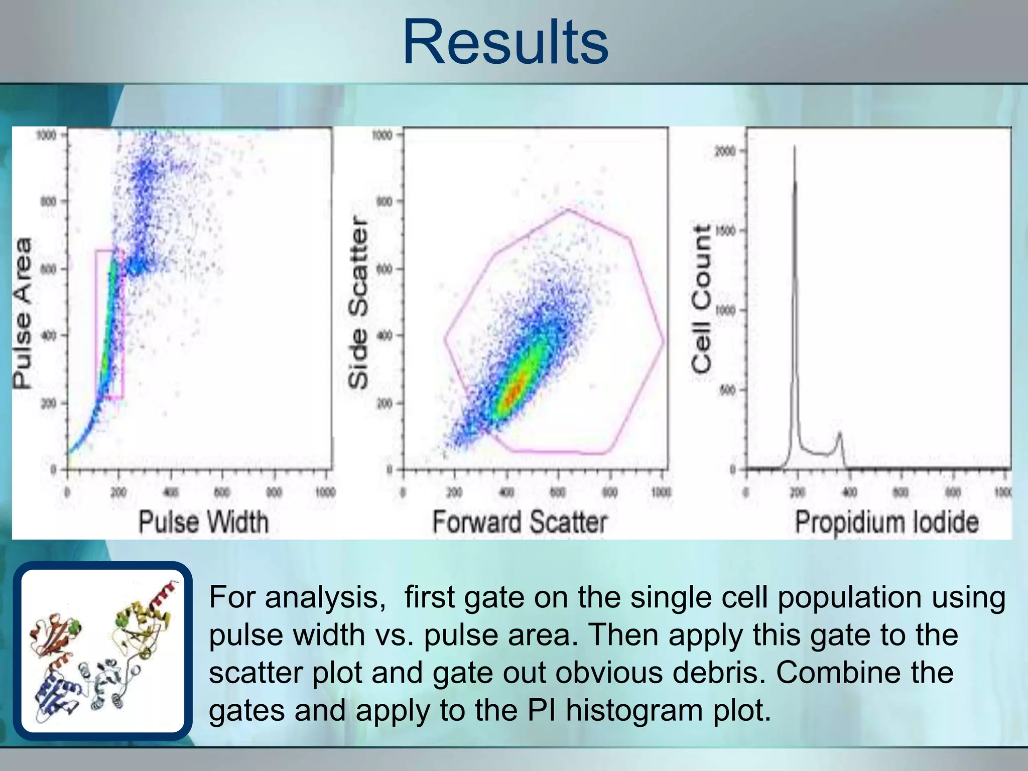 Fluorescence- Activated Cell Sorter (FACS) | PPTX