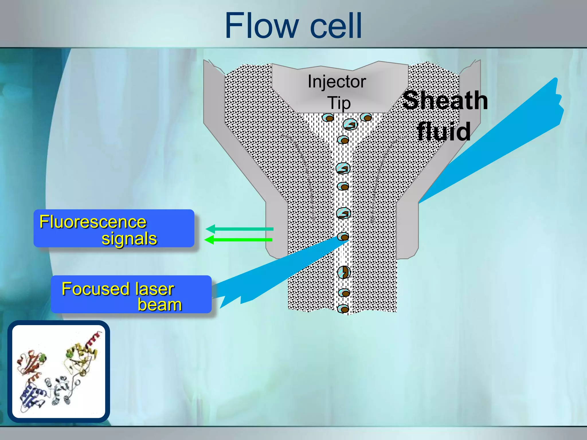Fluorescence- Activated Cell Sorter (FACS) | PPTX