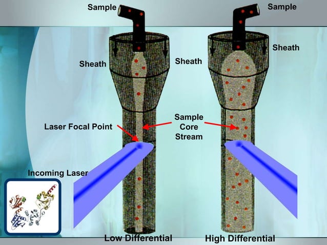 Fluorescence- Activated Cell Sorter (FACS) | PPTX