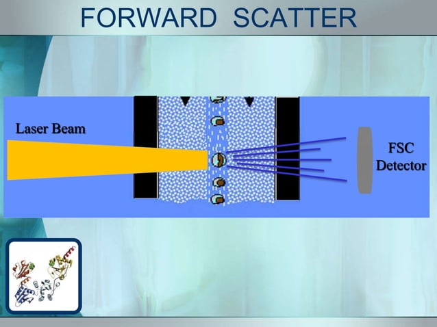 Fluorescence- Activated Cell Sorter (FACS) | PPTX