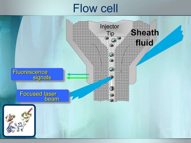 Fluorescence- Activated Cell Sorter (FACS) | PPTX