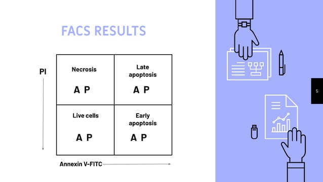 FACS Flow cytometry| Apoptosis & Necrosis| CSIR NET SET Questions | PPT