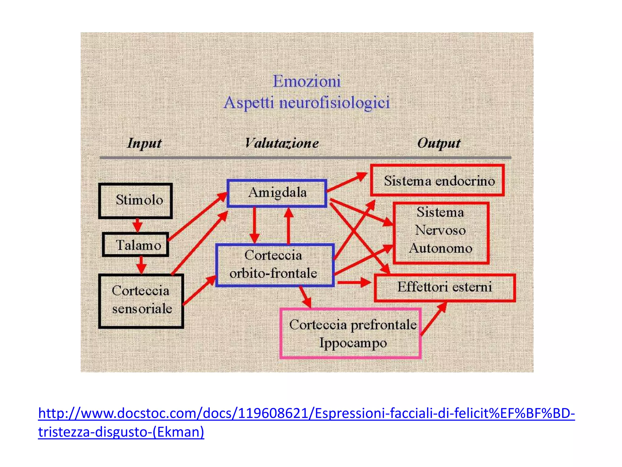 Facs Facial Action Coding Sistem Ppt