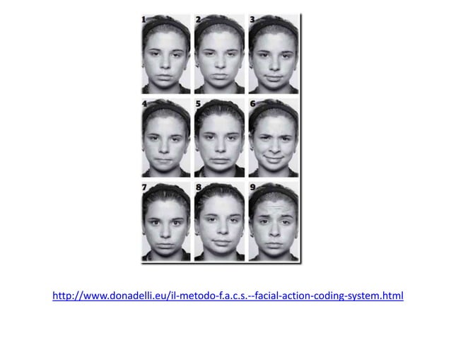 Facs (facial action coding sistem) | PPT