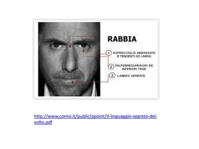 Facs (facial action coding sistem) | PPT