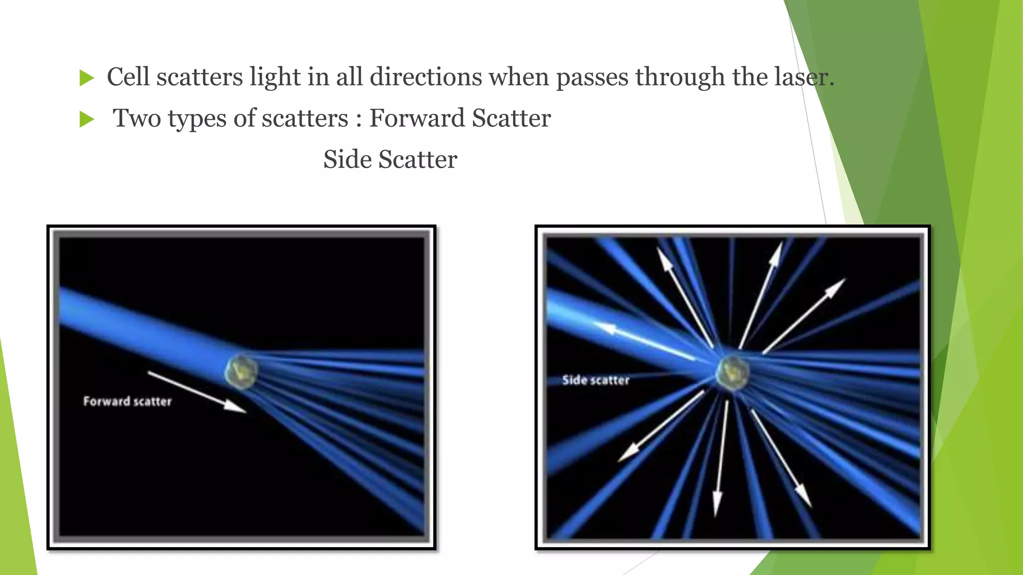 FACS and MACS with their applications in biological research. | PPTX