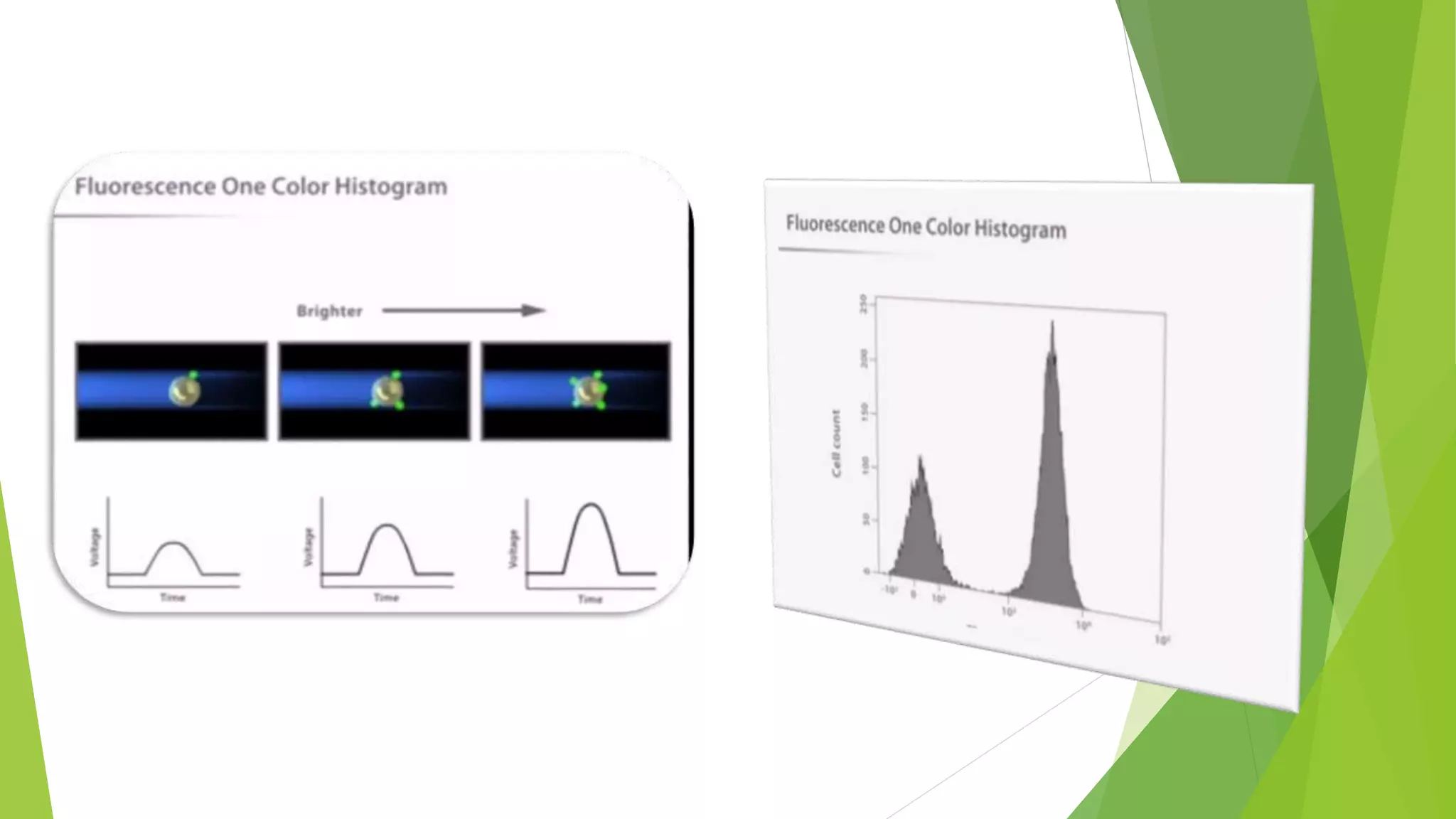 FACS and MACS with their applications in biological research. | PPTX