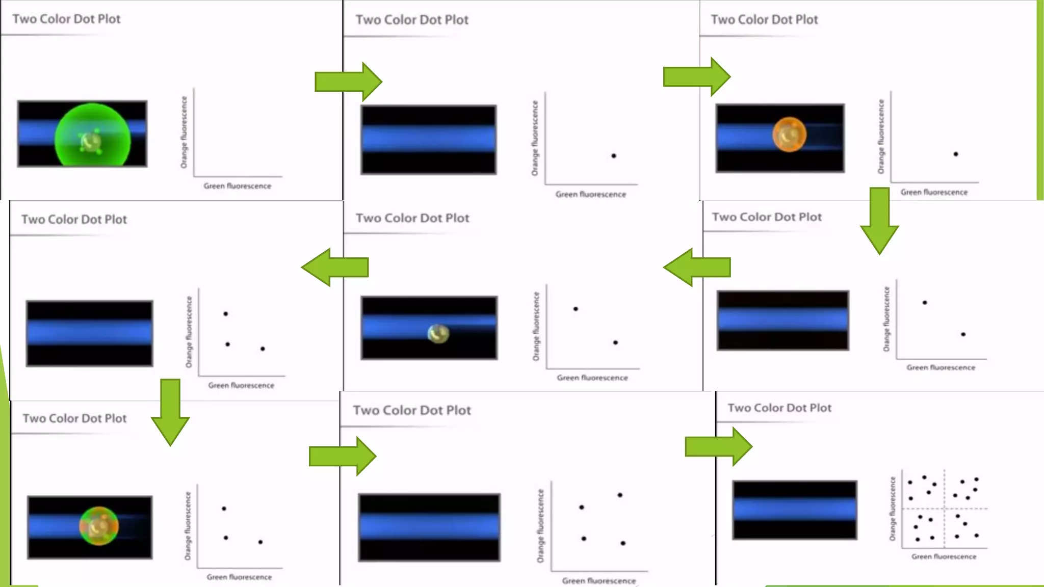FACS and MACS with their applications in biological research. | PPTX