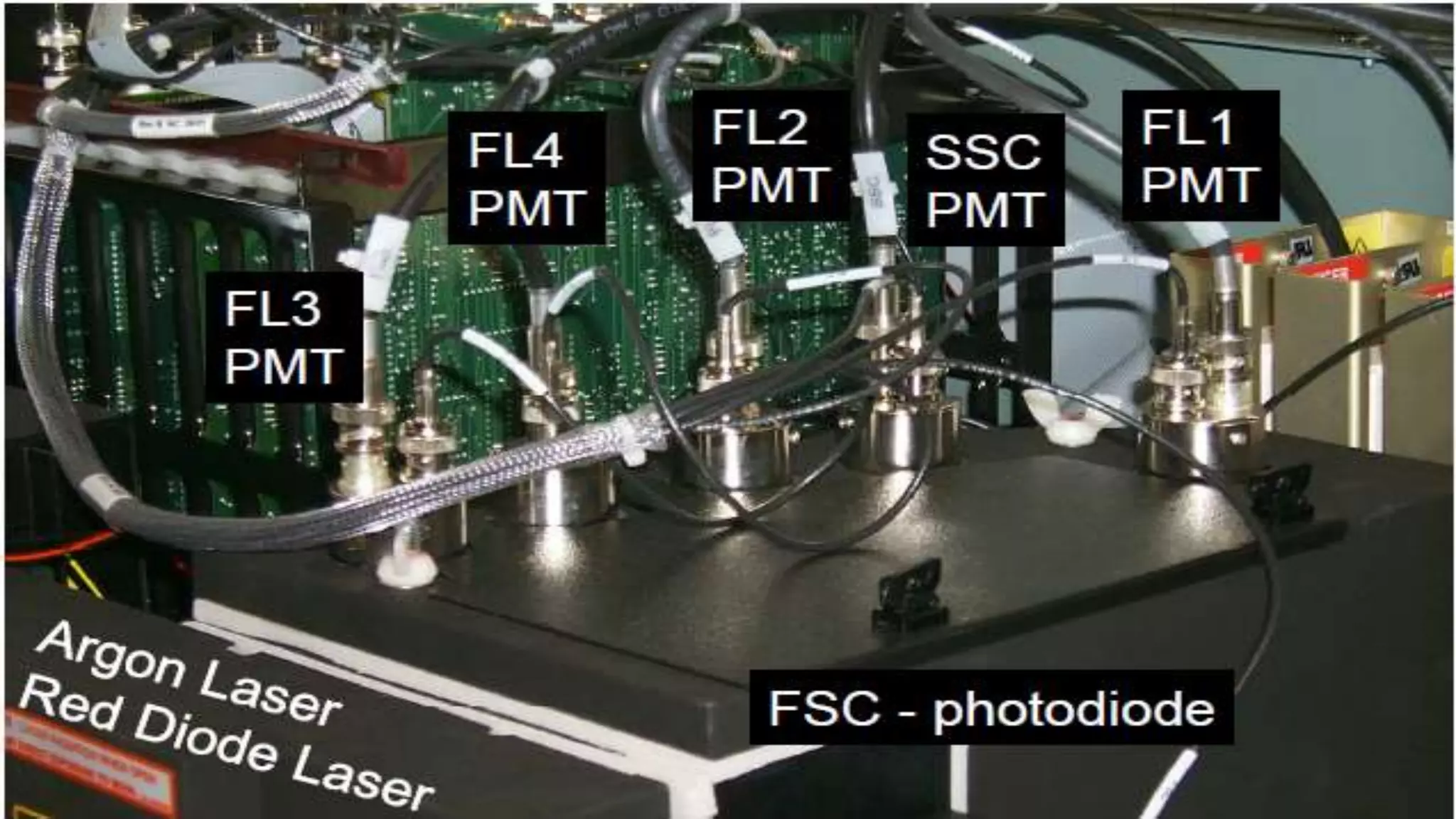 FACS and MACS with their applications in biological research. | PPTX
