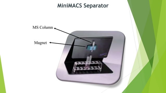 FACS and MACS with their applications in biological research. | PPTX