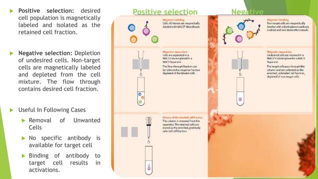 FACS and MACS with their applications in biological research. | PPTX