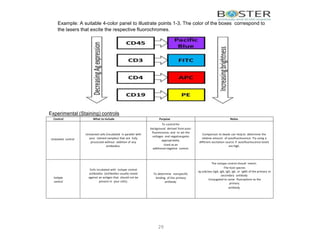 FACS Sample Preparation & Protocol | PDF