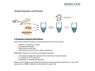 Fa cs sample preparation & protocol | PPT