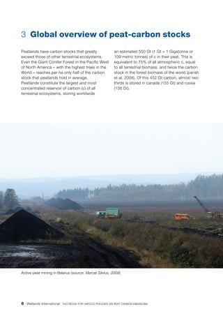 Fact Book for unfcc policies on peat carbon emissions for web | PDF