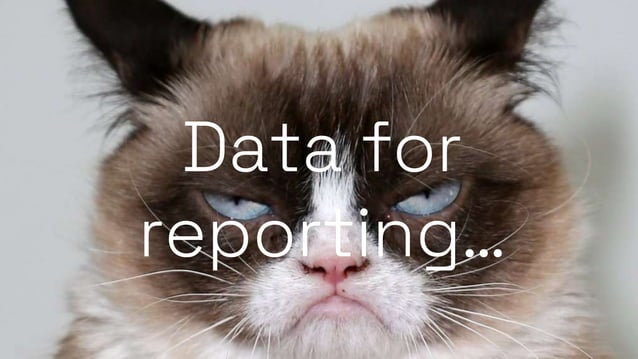 Fact Check Your Data - Data.Monks.pptx