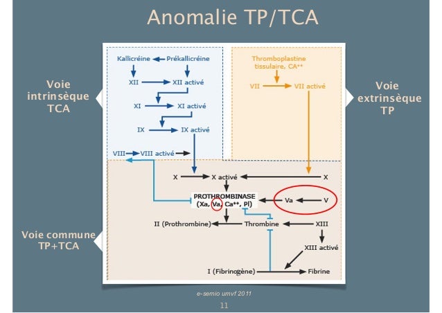 Peridurale et deficit en facteur V