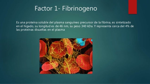 Factor 1- Fibrinogeno