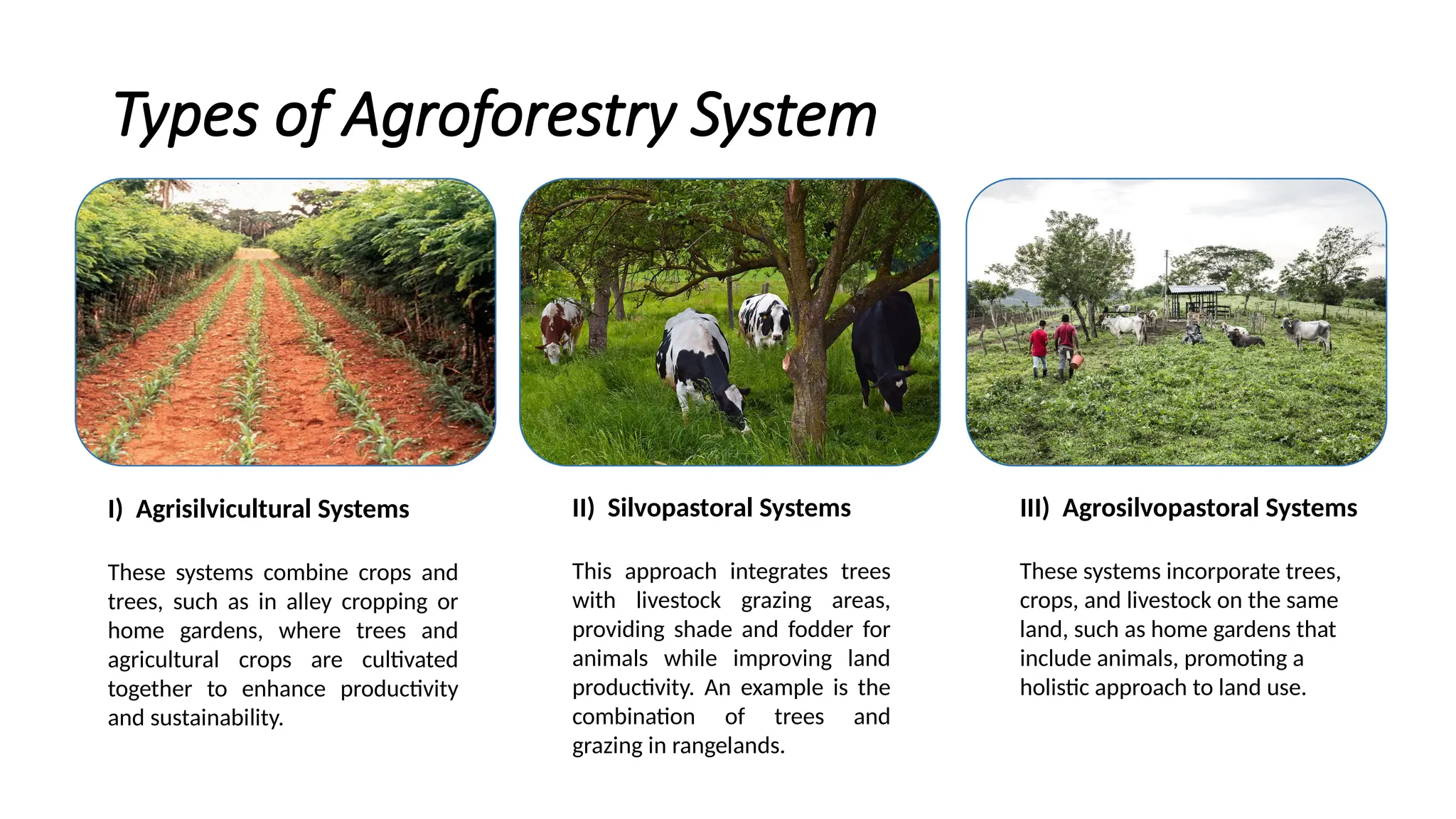 Factor affecting Agroforestry system (AFS) | PPTX