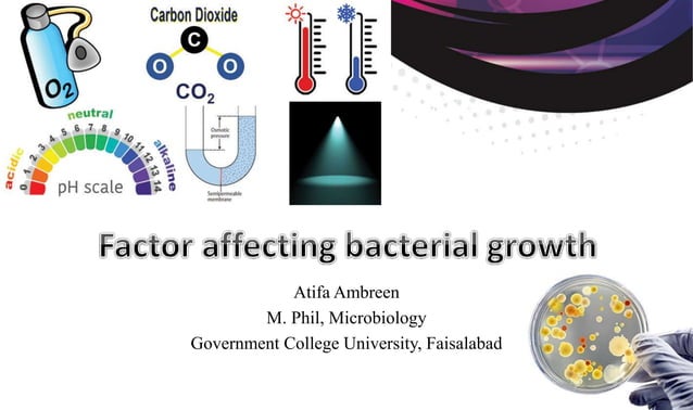 Factor affecting bacterial growth | PPTX