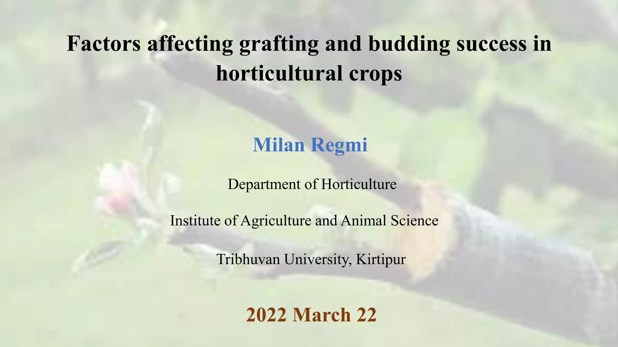 Factor affecting grafting and budding success.pptx | Gardening | Home ...