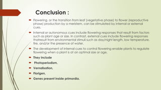 Factor affecting in flowering in plant.pptx