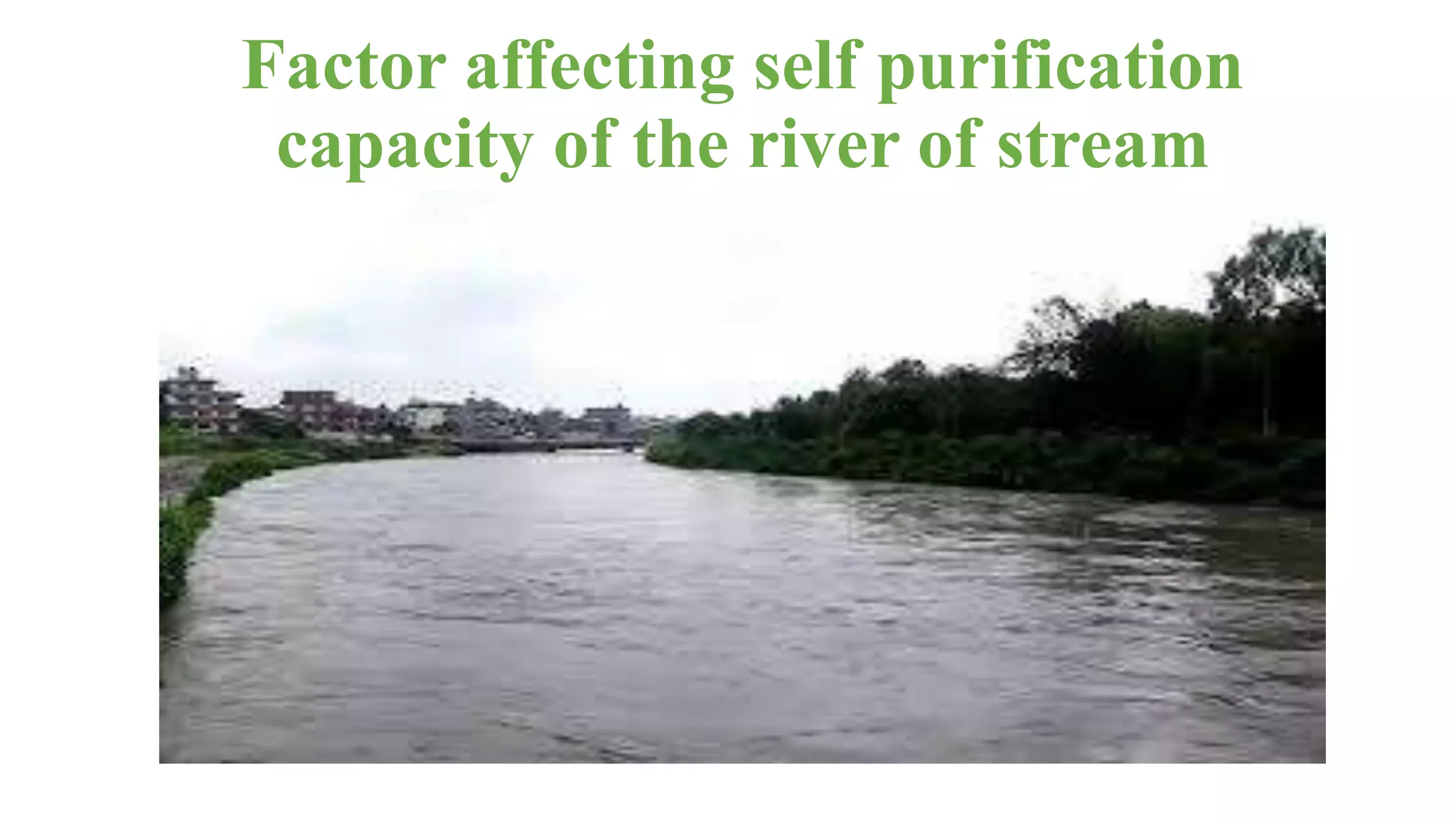 Factor affecting self purification capacity of the river | PPTX ...