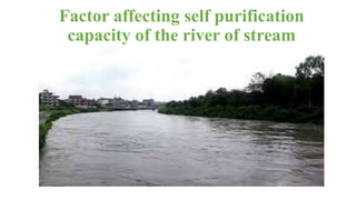Factor affecting self purification capacity of the river | PPTX ...