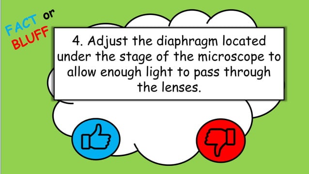 FACT or BLUFF .pptx | Physics | Science