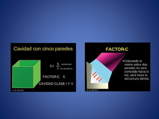Factor c en RESINAS | PPTX