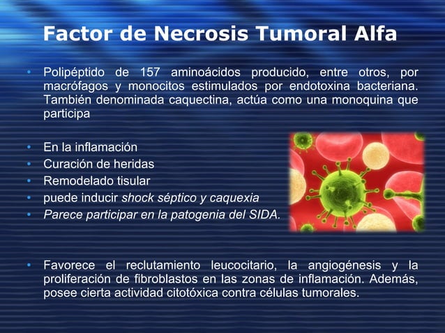 Factor De Necrosis Tumoral (Fnt) | PPT
