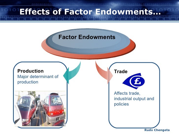 Factor Endowments And Effect On Trade