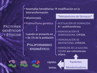 Factores que Modifican Respuesta a fármacos | PPT