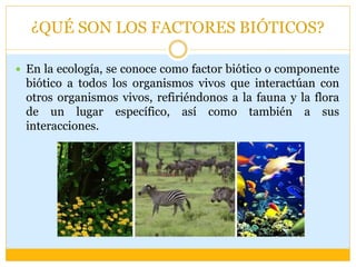 FACTORES BIÓTICOS (ECOLOGÍA) | PPTX
