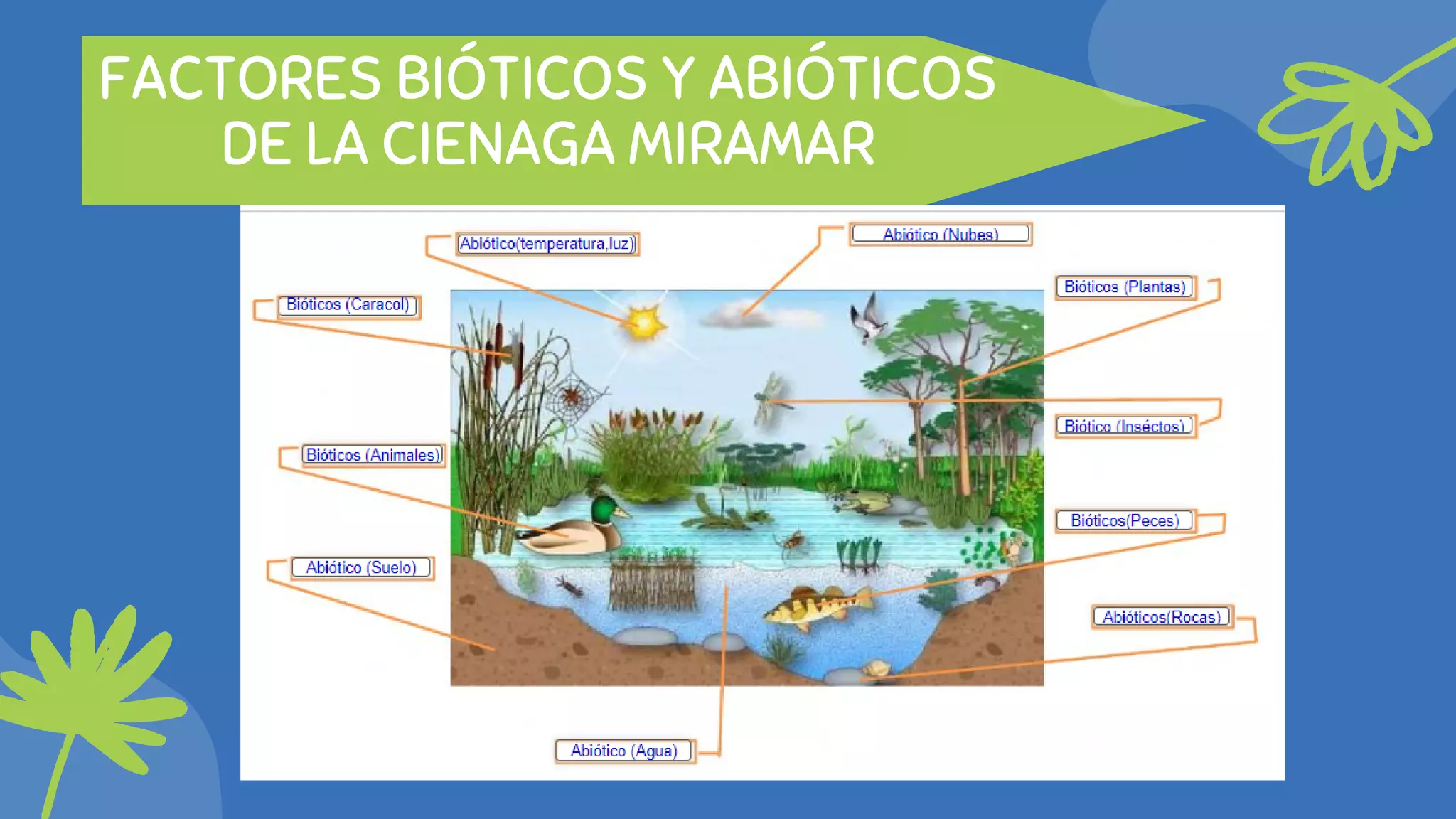 FACTORES BIOTICOS Y ABIOTICOS.pdf