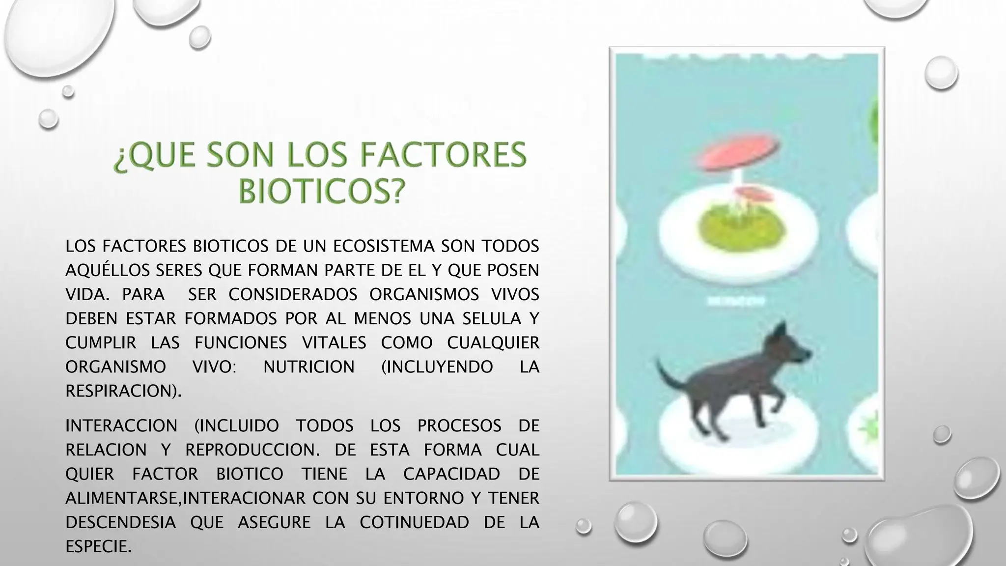 FACTORES BIOTICOS Y ABIOTICOS TRABJO DE YURI Y CRISTIAN.pptx