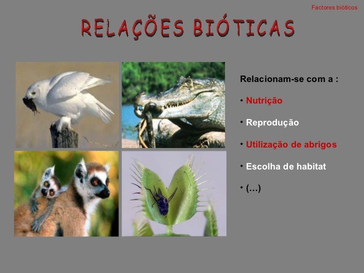 Biotico