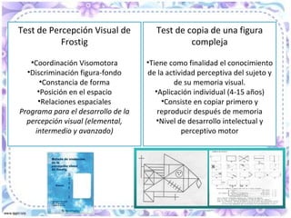Factores cognitivos percepcion | PPT