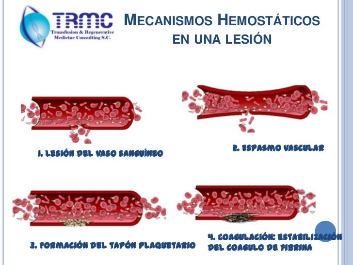Sin categoría – SANTIAGO SANTIZO