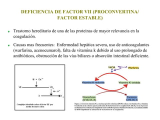 Factores de la coagulación | PDF