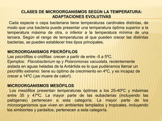 Factores fìsicos que influyen en el crecimiento microbiano | PPTX